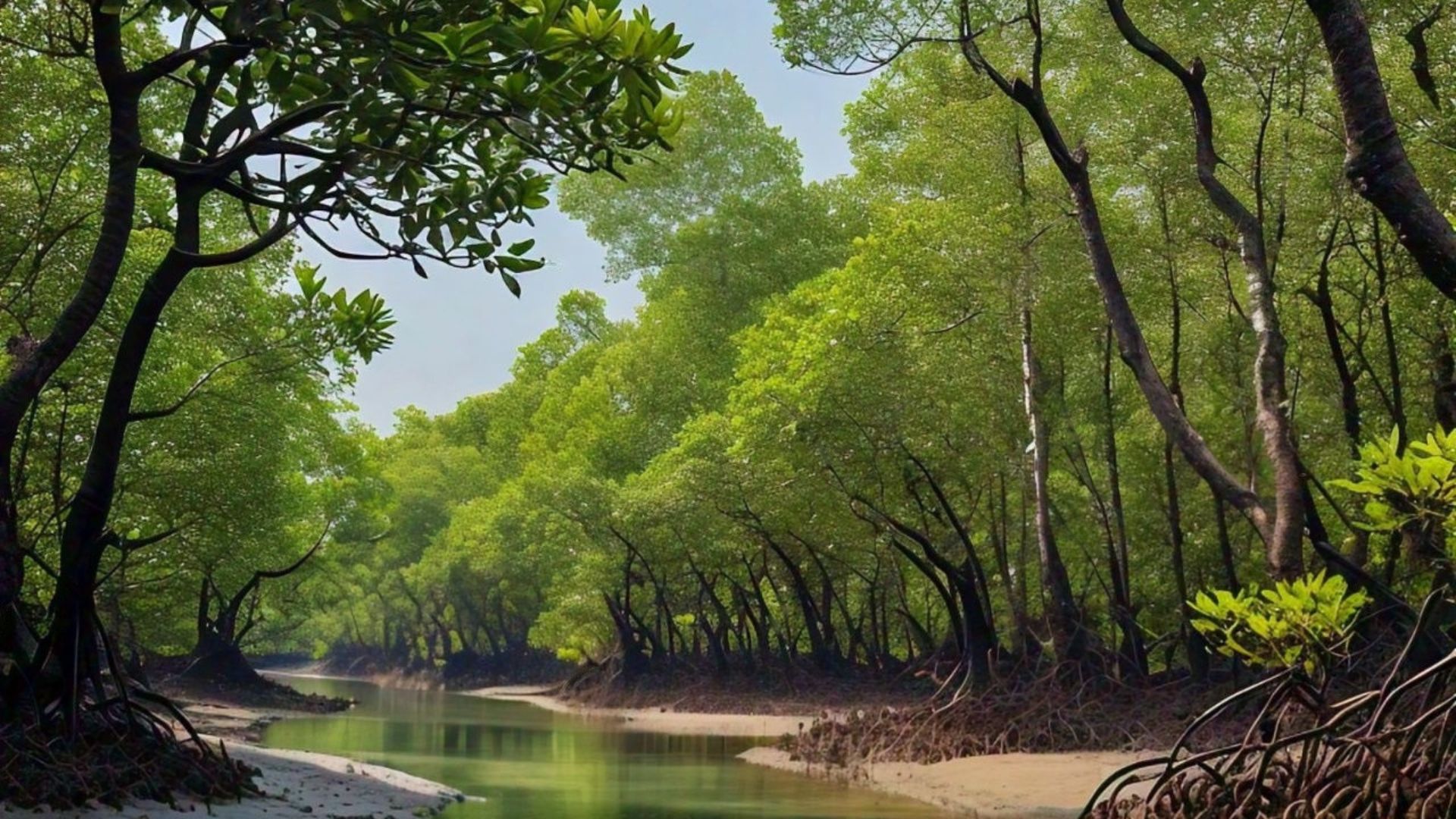 Family-Friendly Sundarban Tour Packages from Kolkata - Sundarban West ...
