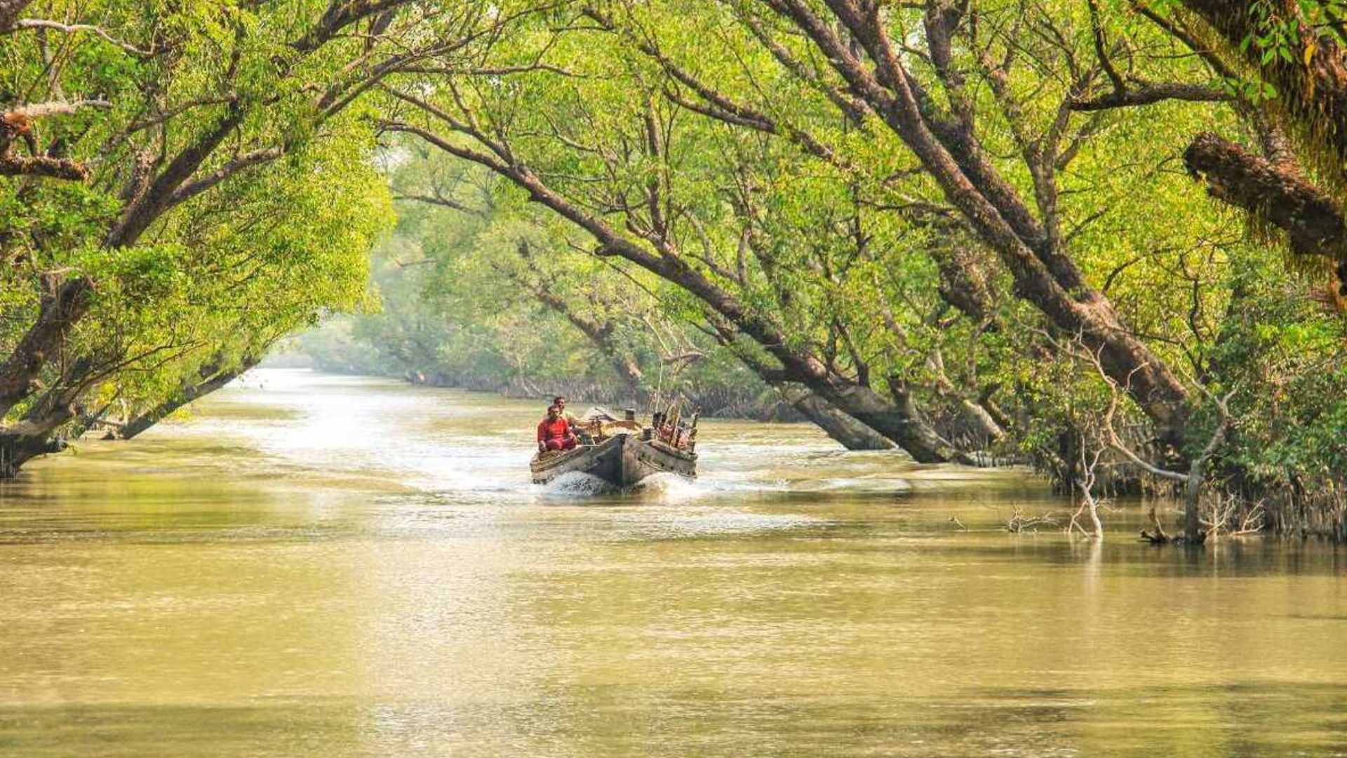 Book Your Sundarban West Bengal Tour Now! - Sundarban Tour Package